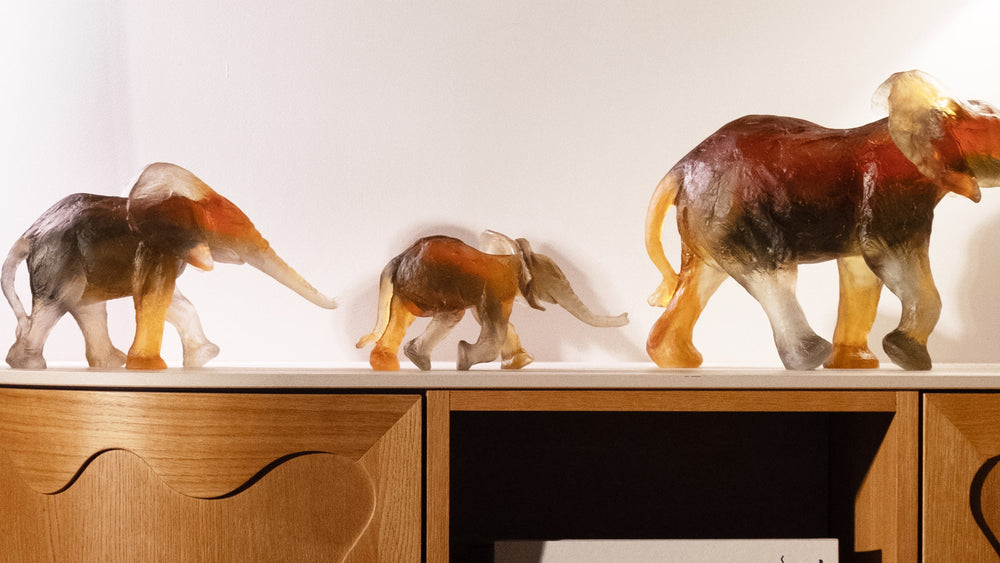 Animal Universe – Daum