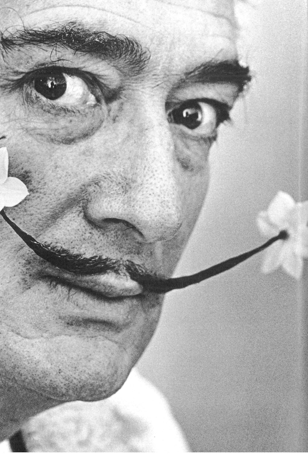 Salvador Dali – Daum