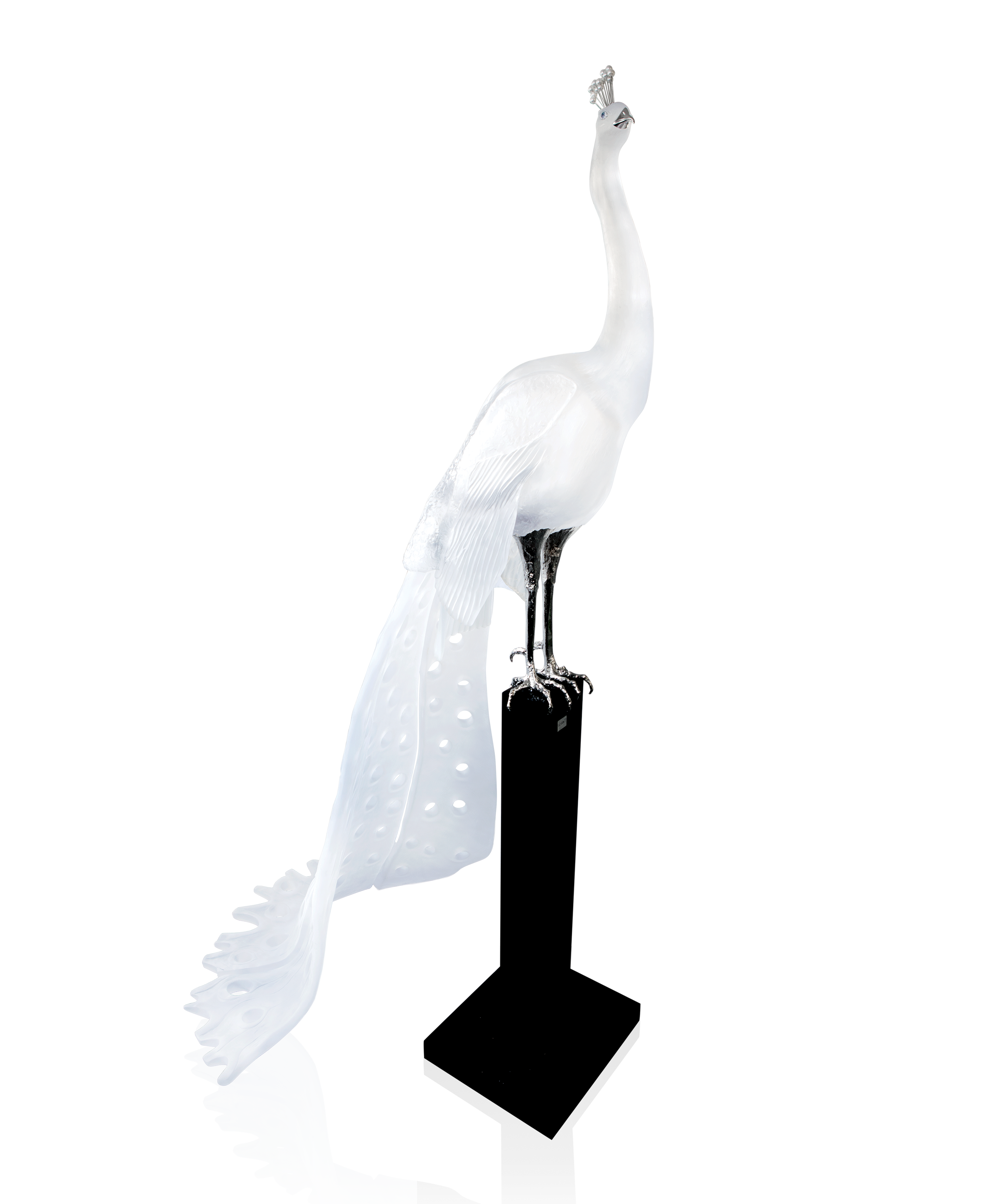Paon White by Madeleine Van der Knoop 8ex | Daum
